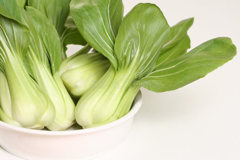 Shanghai Bok Choy stock photo. Image of vegetable, asian - 4101324