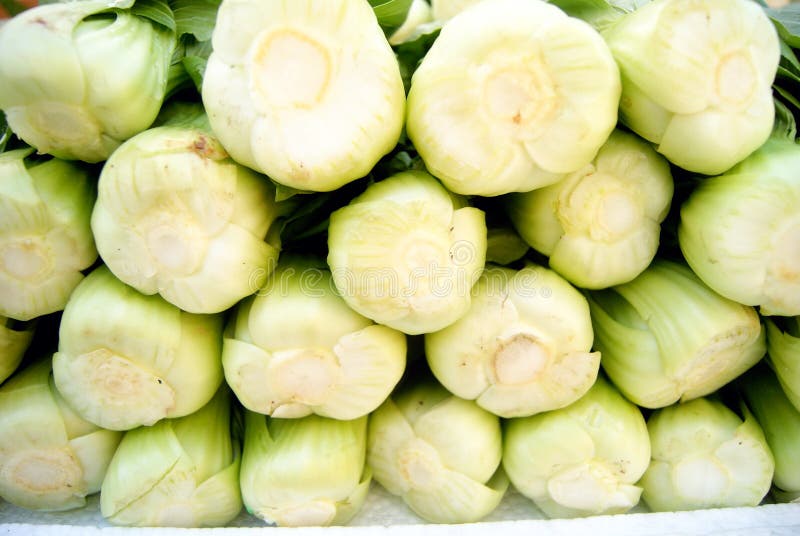 Shanghai green vegetable stock photo. Image of sale, leaves - 21210164