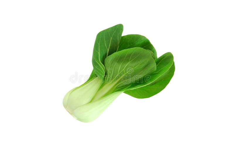 181 Shanghai Vegetable Market Stock Photos - Free & Royalty-Free Stock ...