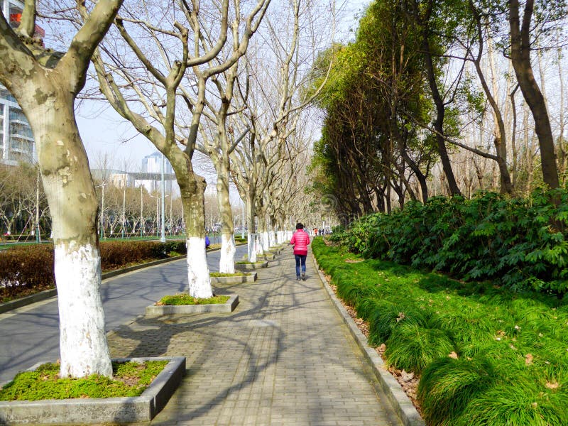 Sidewalk In Shanghai China Expo Area Stock Image - Image of outdoors ...