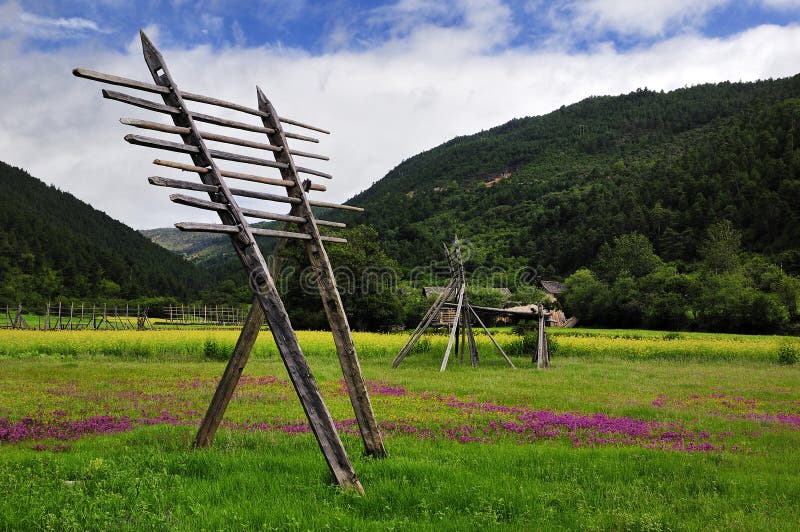 Shangri-La Ranch scenery stock photo. Image of flower - 10256418