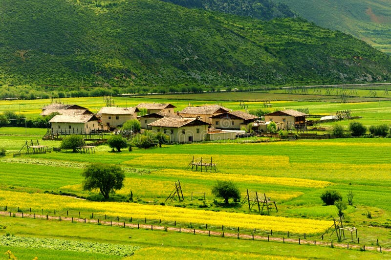 Shangri-La Ranch scenery stock photo. Image of flower - 10257058