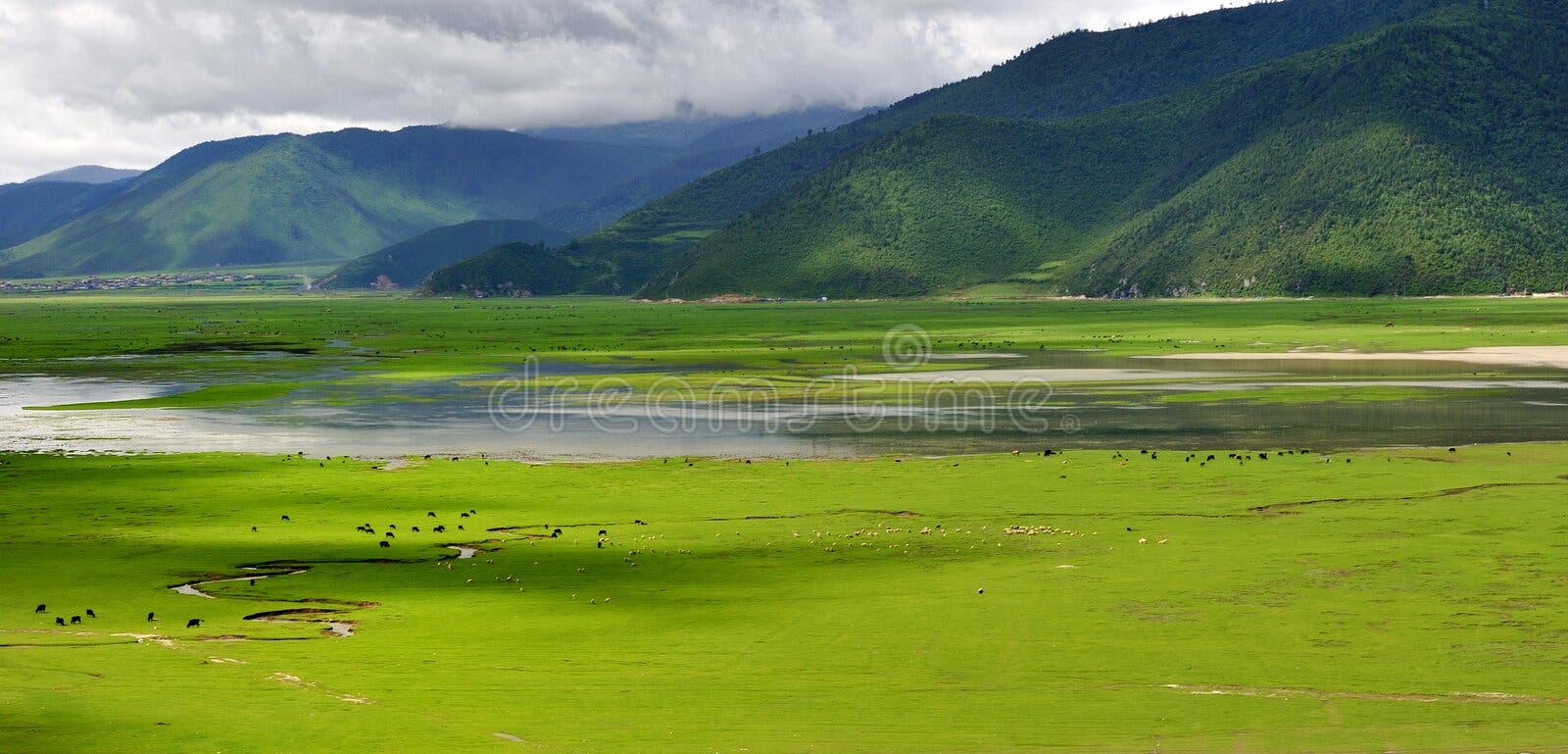 Shangri-La Ranch scenery stock photo. Image of wetland - 10256806