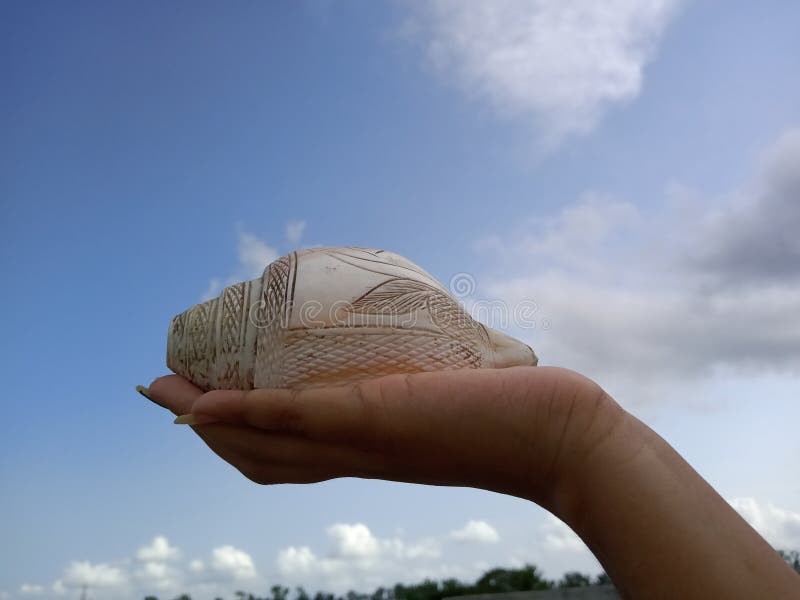 Shank | Shank in Hand | Clouds | Beautiful Clouds Stock Photo - Image ...