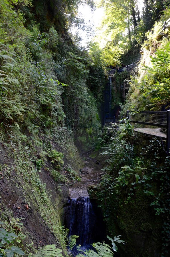 Shanklin Chine, Isle of Wight Stock Image - Image of shanklin, ravine ...