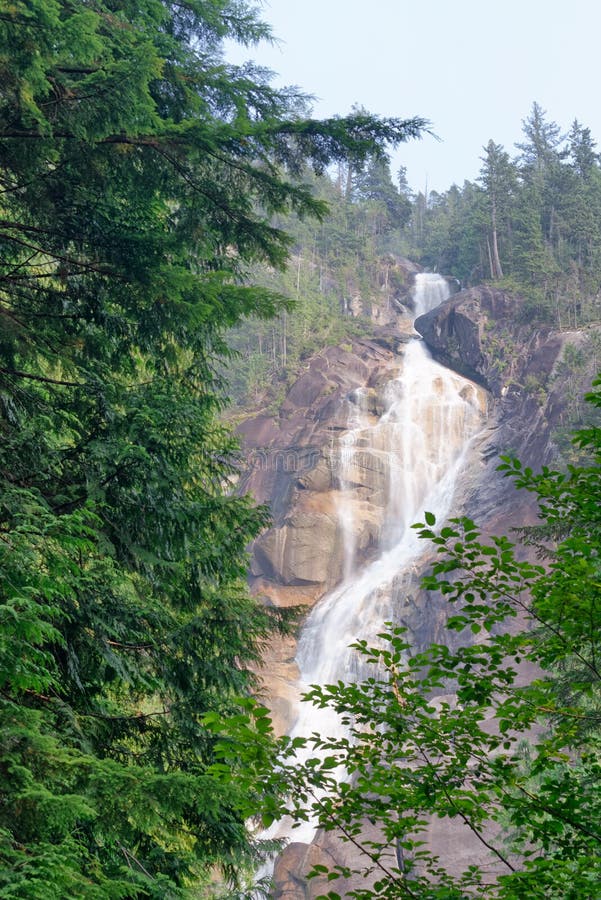 Shannon Falls Provincial Park, Squamish, Kanada Stockfoto - Bild von ...