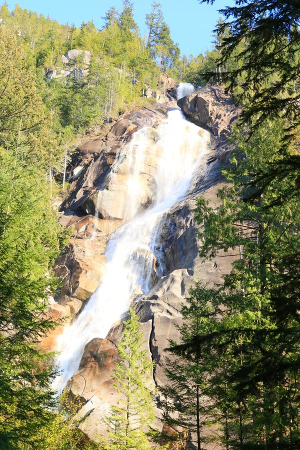 Shannon Falls, Squamish, BC, Canada Stock Photo - Image of scenics ...