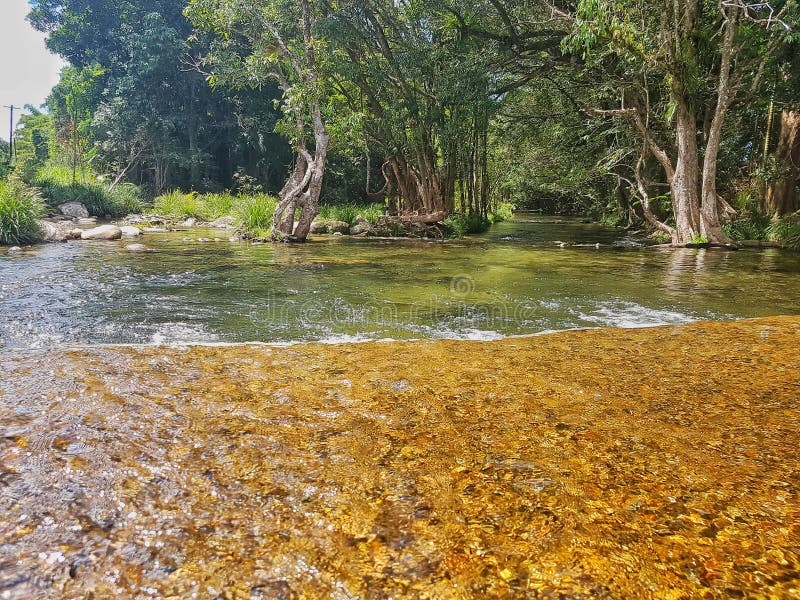 Shannonvale stock image. Image of watercourse, tree, shannonvale - 90778981