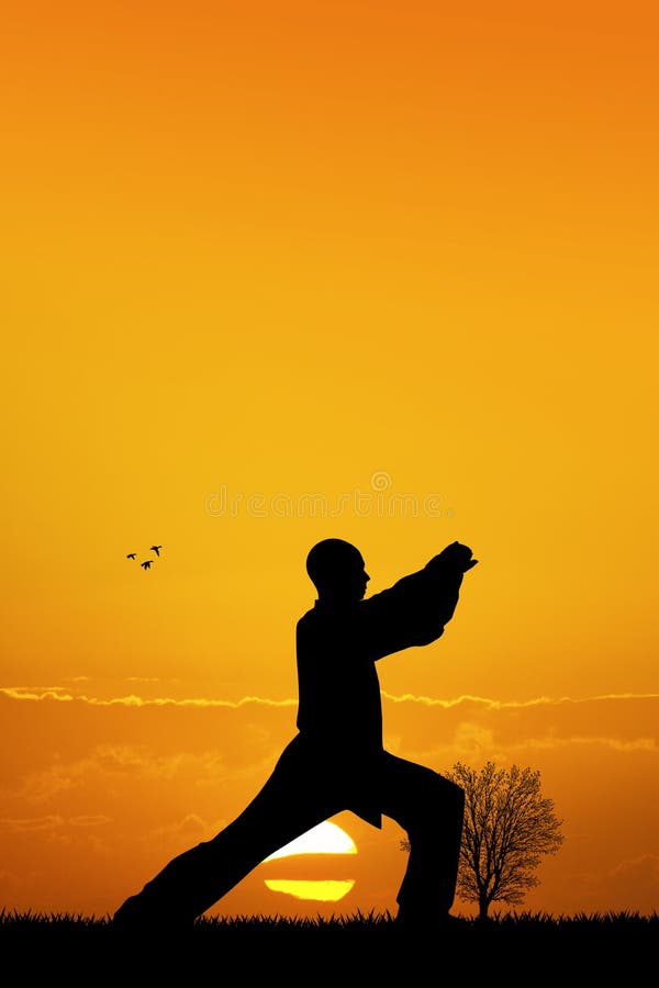 Shaolin Silhouette at Sunset Stock Illustration - Illustration of ...