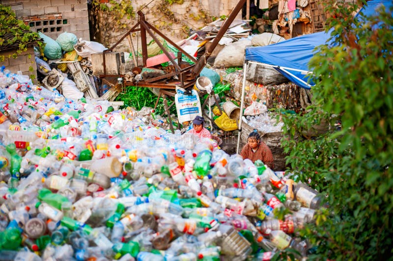 Manual Sorting and Recycling of Plastic Bottles Editorial Image - Image ...