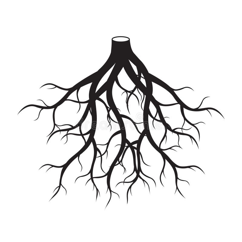 Black Roots Stock Illustrations – 4,777 Black Roots Stock Illustrations ...