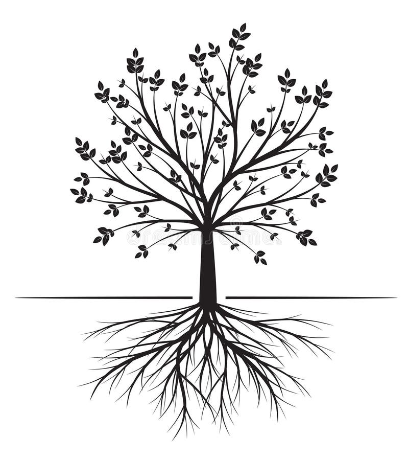 Shape of Black Tree with Leaves and Roots. Vector Outline Illustration ...