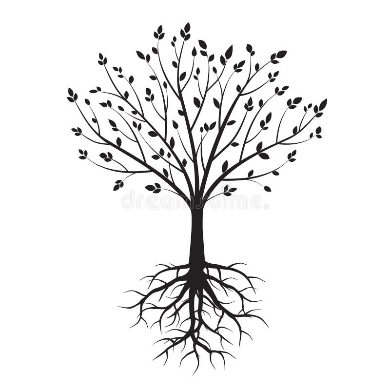 Shape of Trees, Roots and Leafs. Vector Illustration. Stock ...