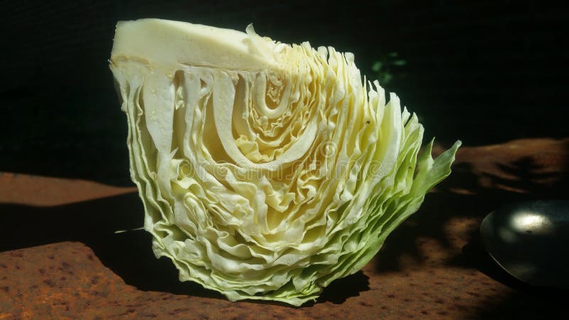 Shape 1/4 of the cabbage stock photo. Image of healthy - 252536020