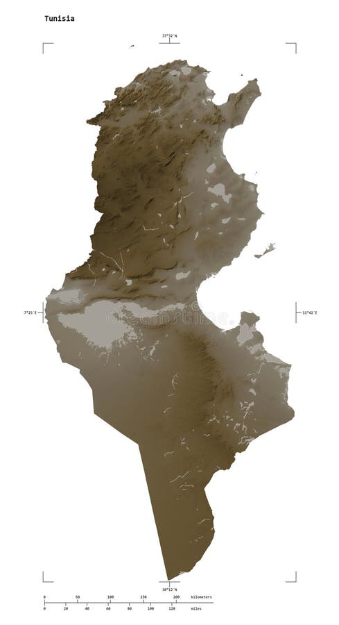 Tunisia Shape on White. Sepia Stock Illustration - Illustration of ...