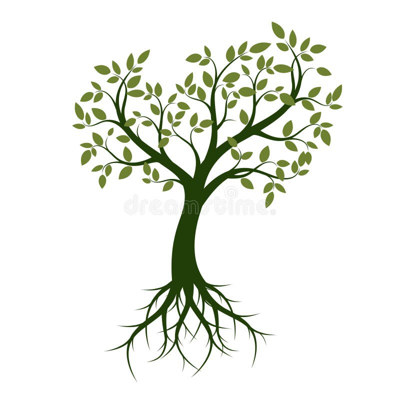 Shape of Green Tree with Leaves and Roots. Vector Illustration. Stock ... Shape of Green Tree with Leaves and Roots. Vector Illustration. Stock ...