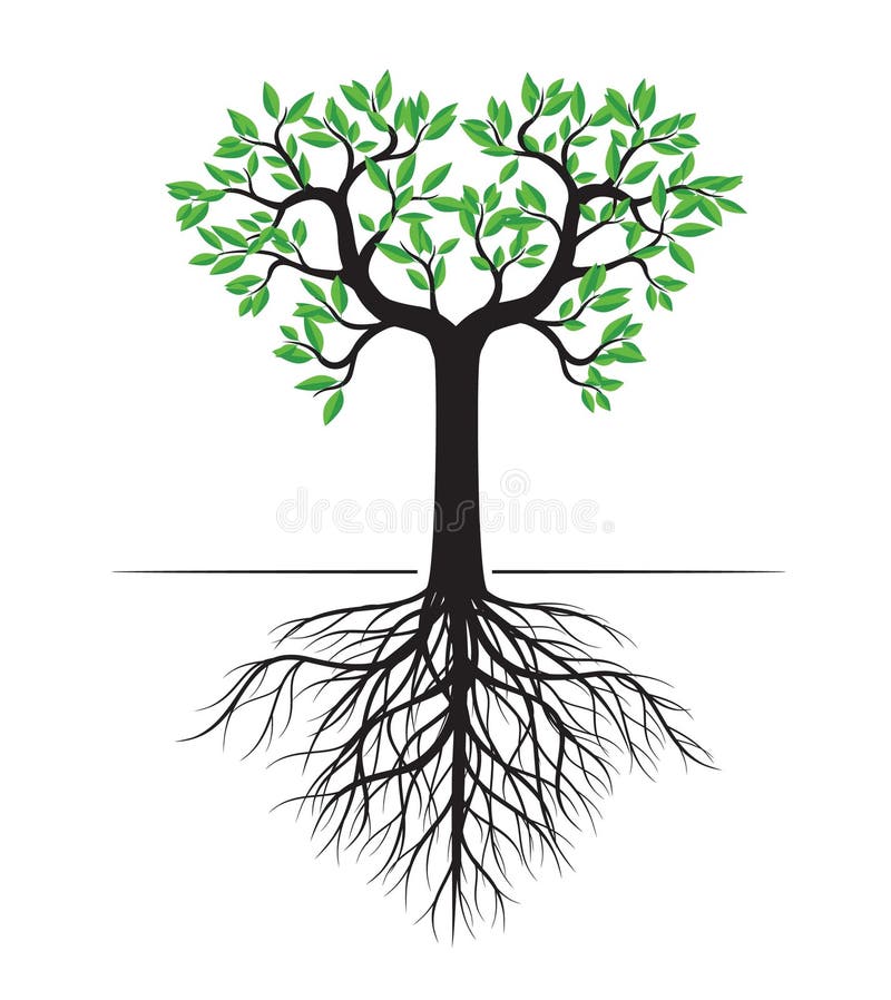Tree Roots Outline Stock Illustrations – 3,191 Tree Roots Outline Stock ...