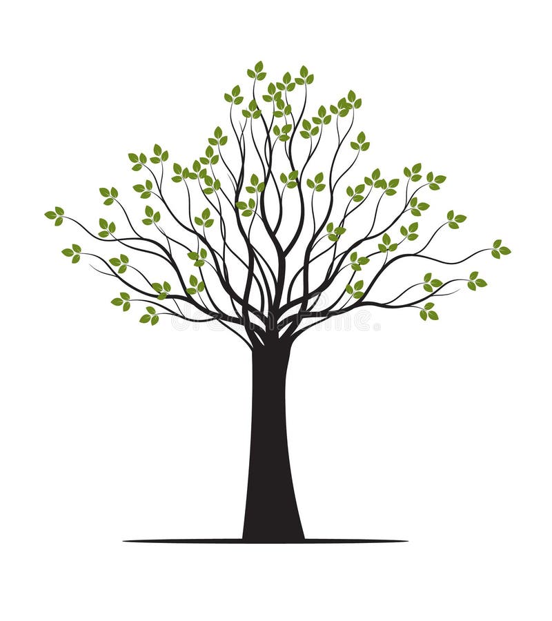 Shape of Green Tree with Leaves. Vector Outline Illustration Stock ...