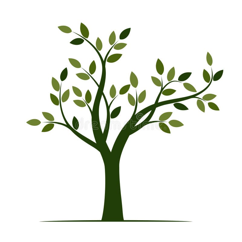 Shape of Green Tree and Leaves. Vector Illustration. Stock Vector ...
