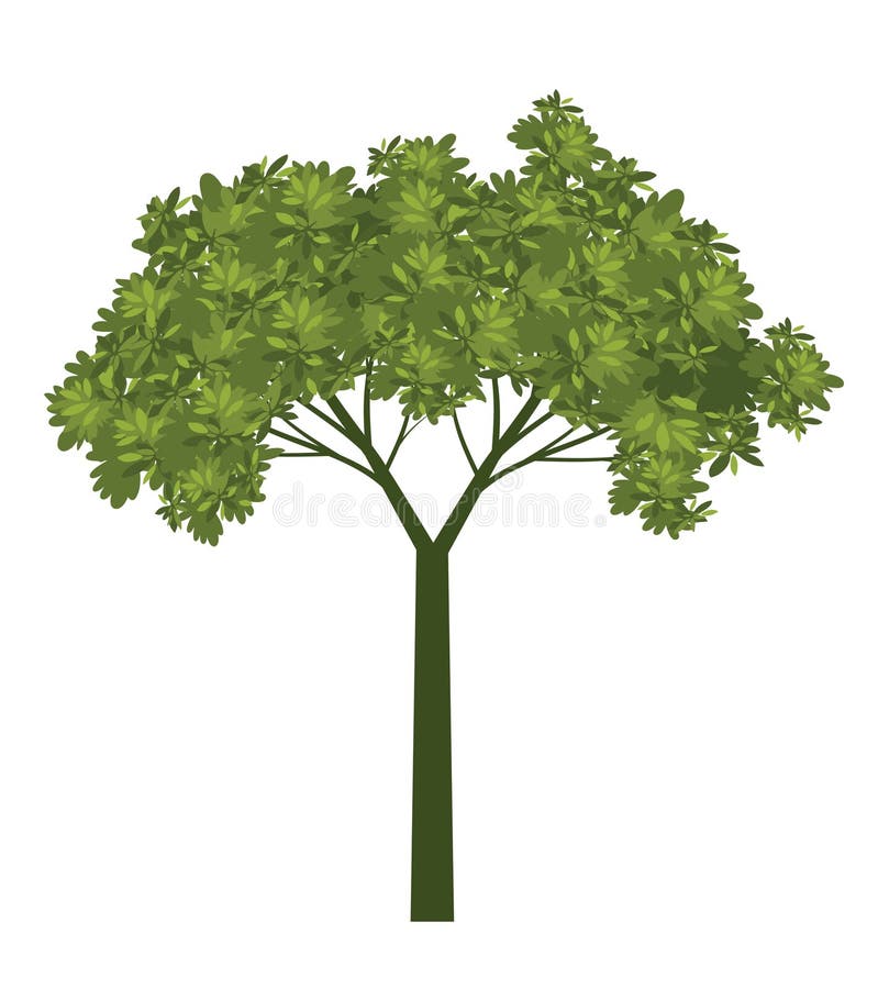 Shape of Green Tree with Leaves. Vector Outline Illustration Stock ... Shape of Green Tree with Leaves. Vector Outline Illustration Stock ...