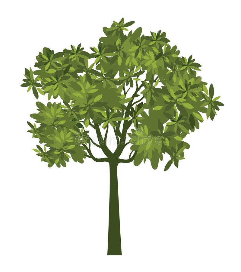 Shape of Green Tree with Leaves. Vector Outline Illustration Stock ... Shape of Green Tree with Leaves. Vector Outline Illustration Stock ...