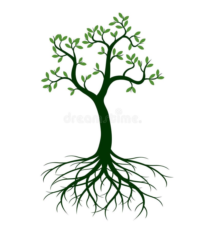 Shape of Green Tree with Roots. Vector Outline Illustration Stock ... Shape of Green Tree with Roots. Vector Outline Illustration Stock ...