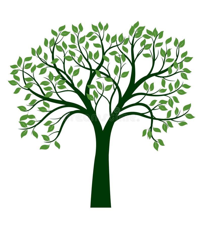 Shape of Green Tree. Vector Outline Illustration. Plant in Garden Stock ...