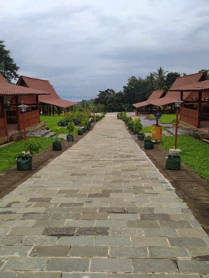 152 Osing Stock Photos - Free & Royalty-Free Stock Photos from Dreamstime