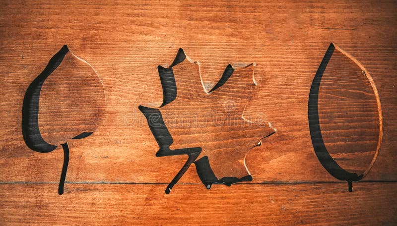 Shape of Leaves Carved into Wooden Surface Stock Photo - Image of ...