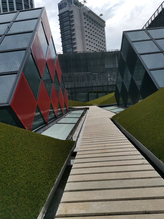 Shape of life stock photo. Image of transport, downtown - 236458134