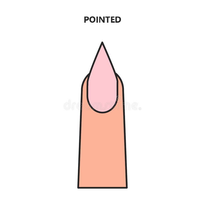 Shape Nail Vector Icon.Color Vector Icon Isolated on White Background ...