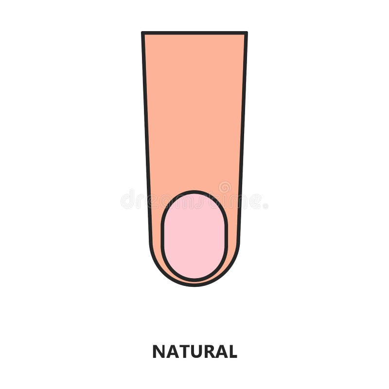 Shape Nail Vector Icon.Color Vector Icon Isolated on White Background ...