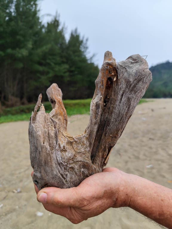 Very Unique Wood Texture Shape Stock Photo - Image of heap, lumber ...
