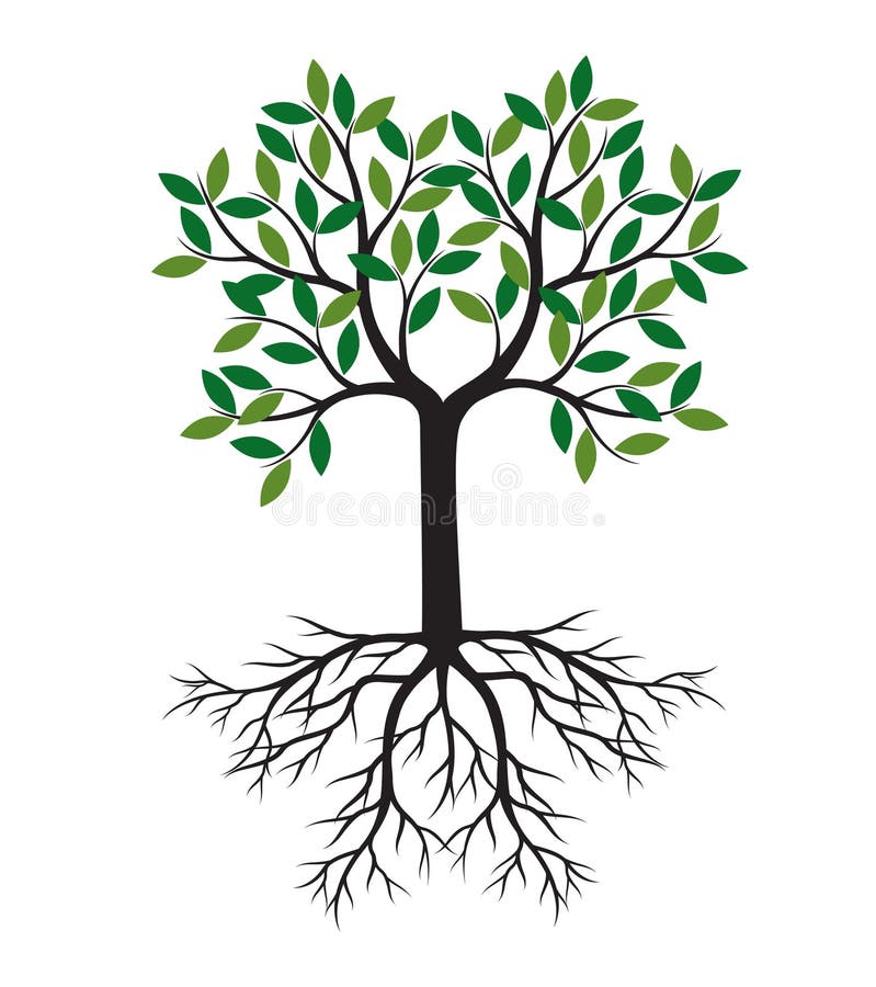Shape of Tree with Leaves and Roots. Vector Outline Illustration Stock ...