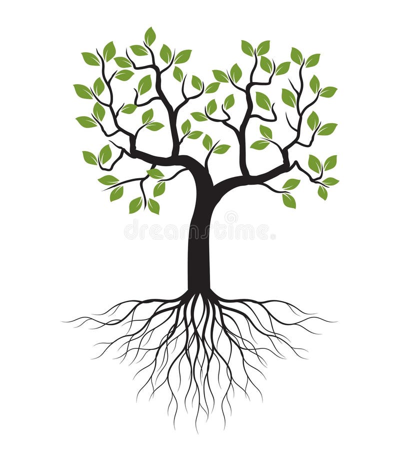 Shape of Tree with Leaves and Roots. Vector Outline Illustration Stock ...
