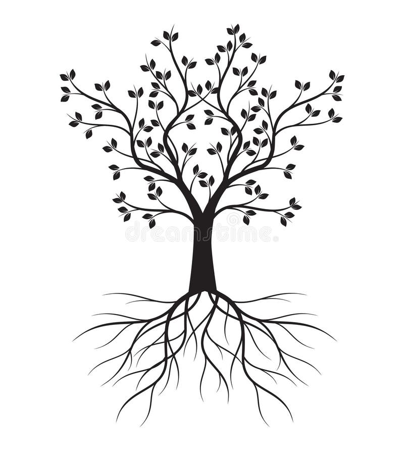 Shape of Black Tree with Leaves and Roots. Vector Outline Illustration ...