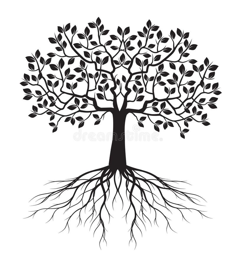 Shape of Black Tree with Leaves and Roots. Vector Outline Illustration ...