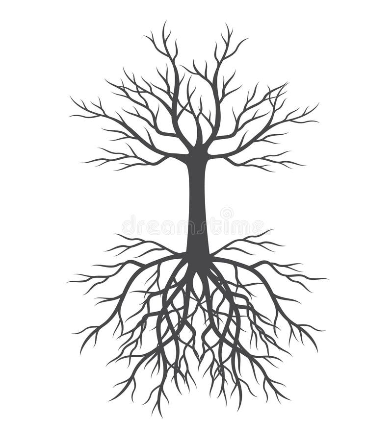 Shape of Tree with Roots. Vector Outline Illustration. Plant in Garden ...