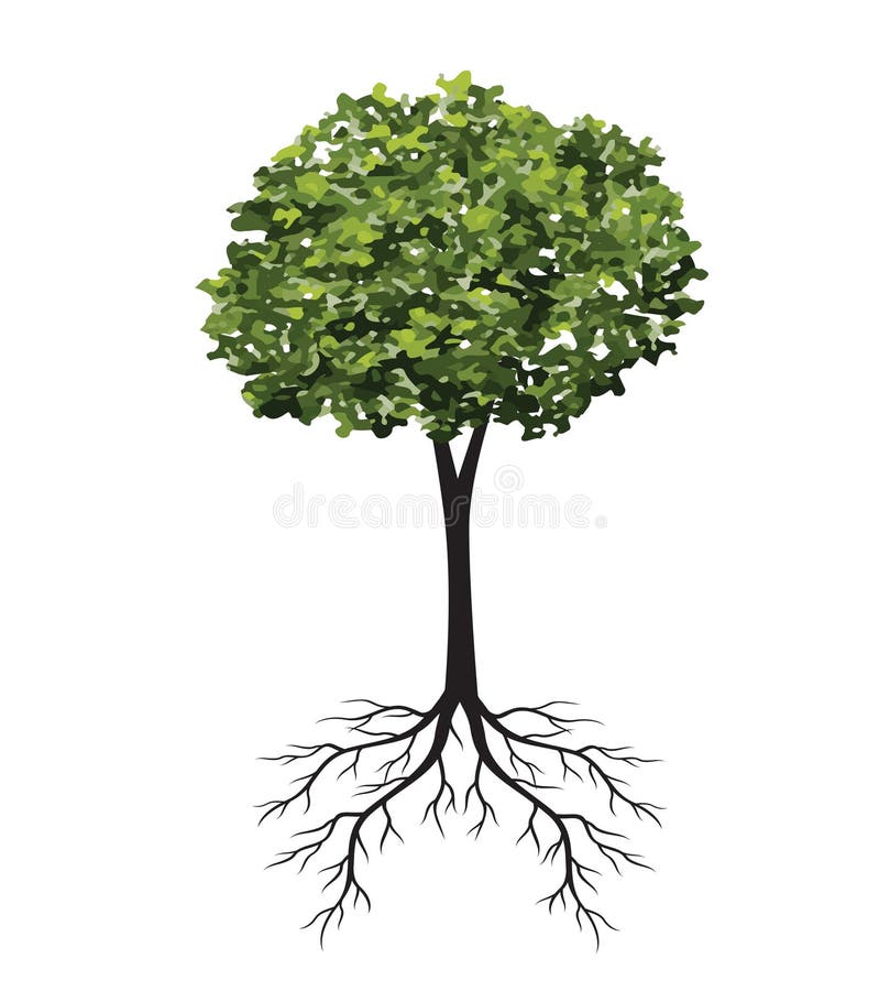 Shape of Tree with Leaves Nd Roots. Vector Outline Illustration Stock ...
