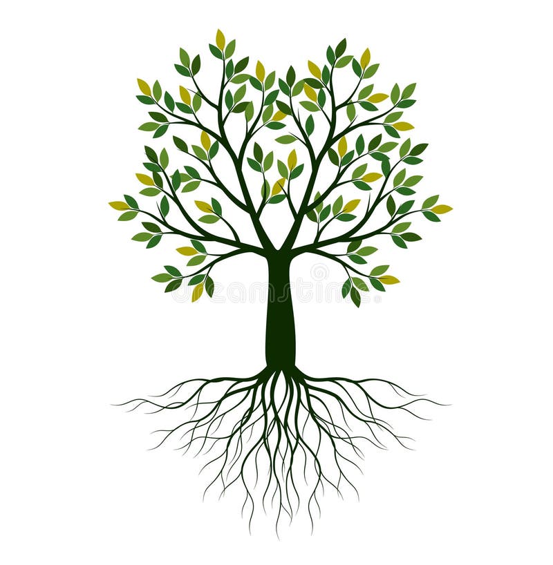 Shape of Tree with Leaves and Roots. Vector Outline Illustration Stock ...