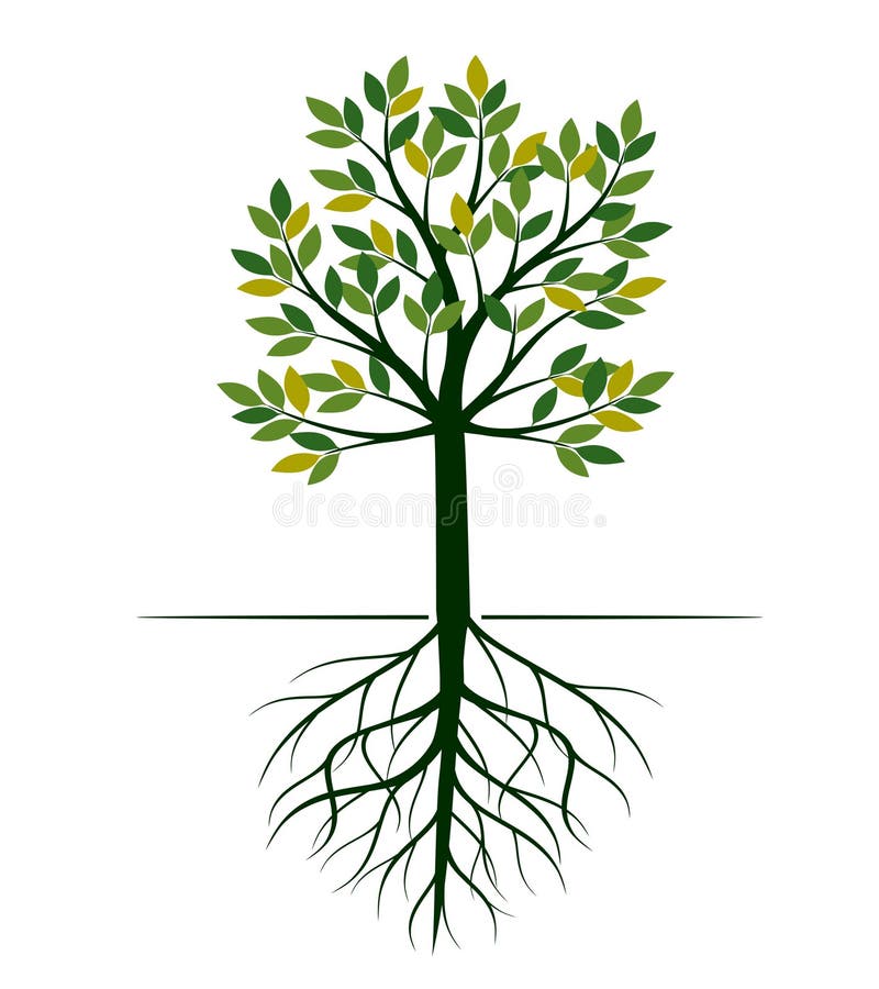 Shape of Tree with Leaves and Roots. Vector Outline Illustration. Plant ...