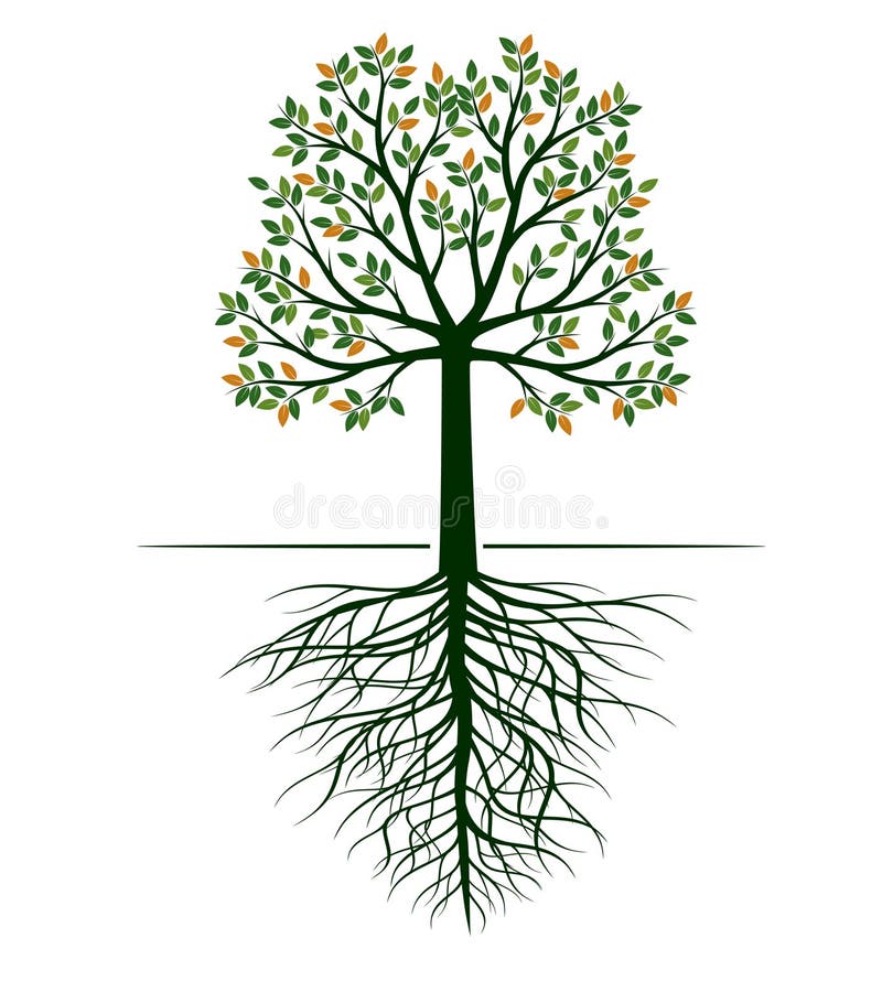Shape of Tree with Leaves and Roots. Vector Outline Illustration Stock ...