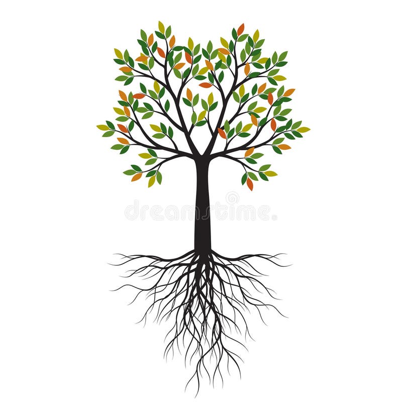 Shape of Tree with Leaves and Roots. Vector Outline Illustration Stock ...