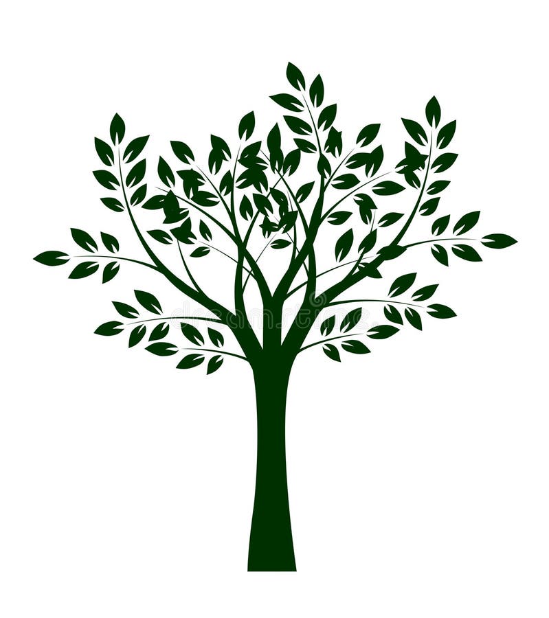 Shape of Tree with Leaves. Vector Outline Illustration. Plant in Garden ...
