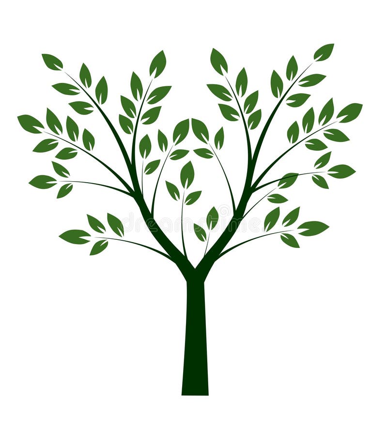 Shape of Tree with Leaves. Vector Outline Illustration Stock Vector ...