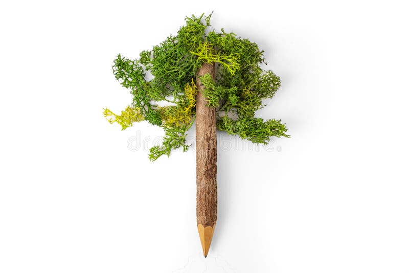 Shape of a Tree Made of Branch Crayon and Lichen , Ecological Concept ...