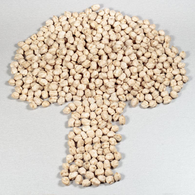 300 Chickpeas Tree Stock Photos - Free & Royalty-Free Stock Photos from ...