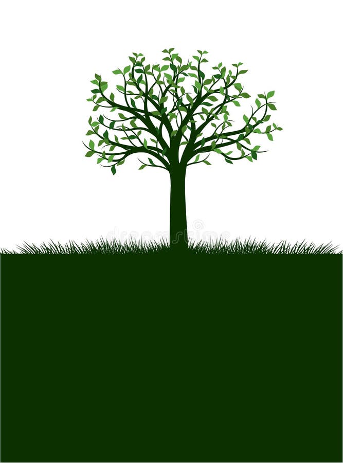 Shape of Tree. Vector Outline Illustration. Plant in Garden. Stock ...