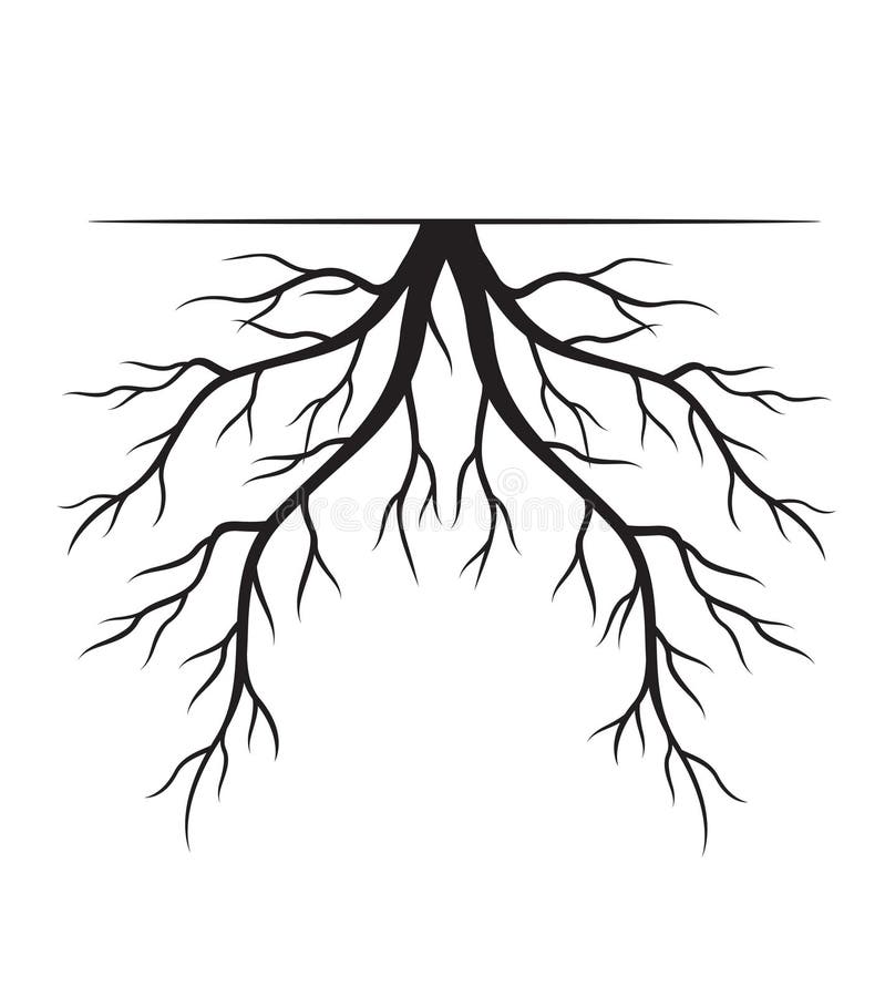 Shape of Tree. Vector Outline Illustration. Plants in Garden Stock ...