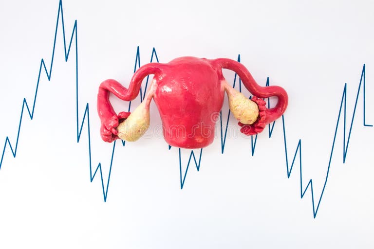 Uterine Contraction Stock Photos - Free & Royalty-Free Stock Photos ...